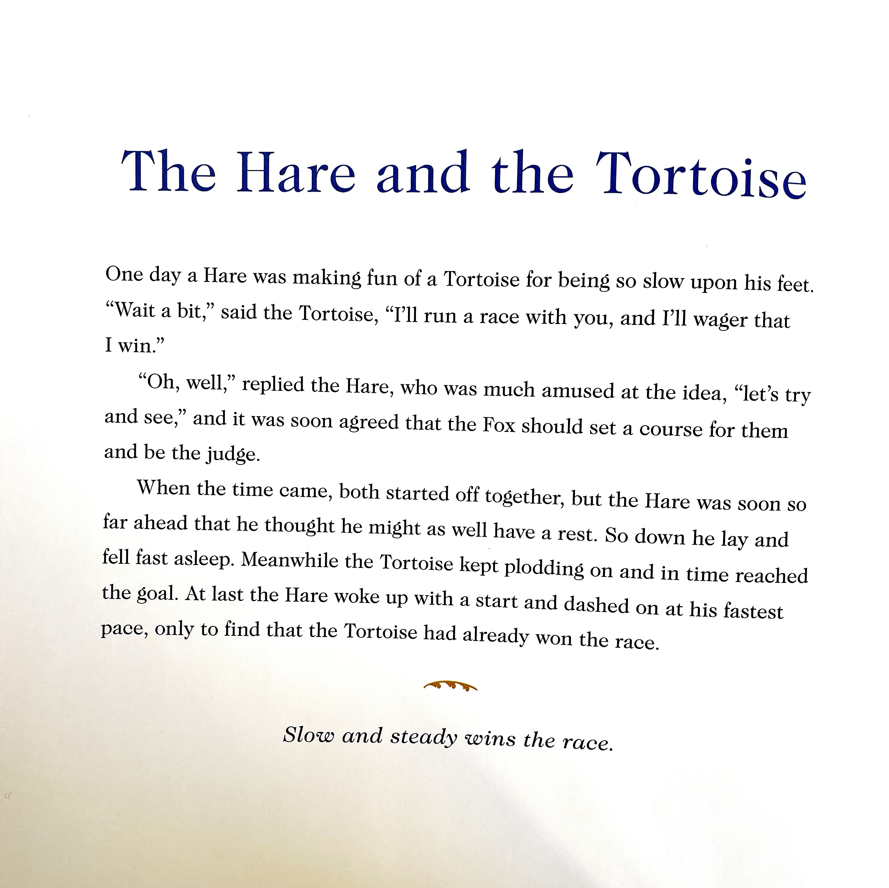 The Tortoise and the Hare, Puppetry & Book Talks – Tiffany Poirier