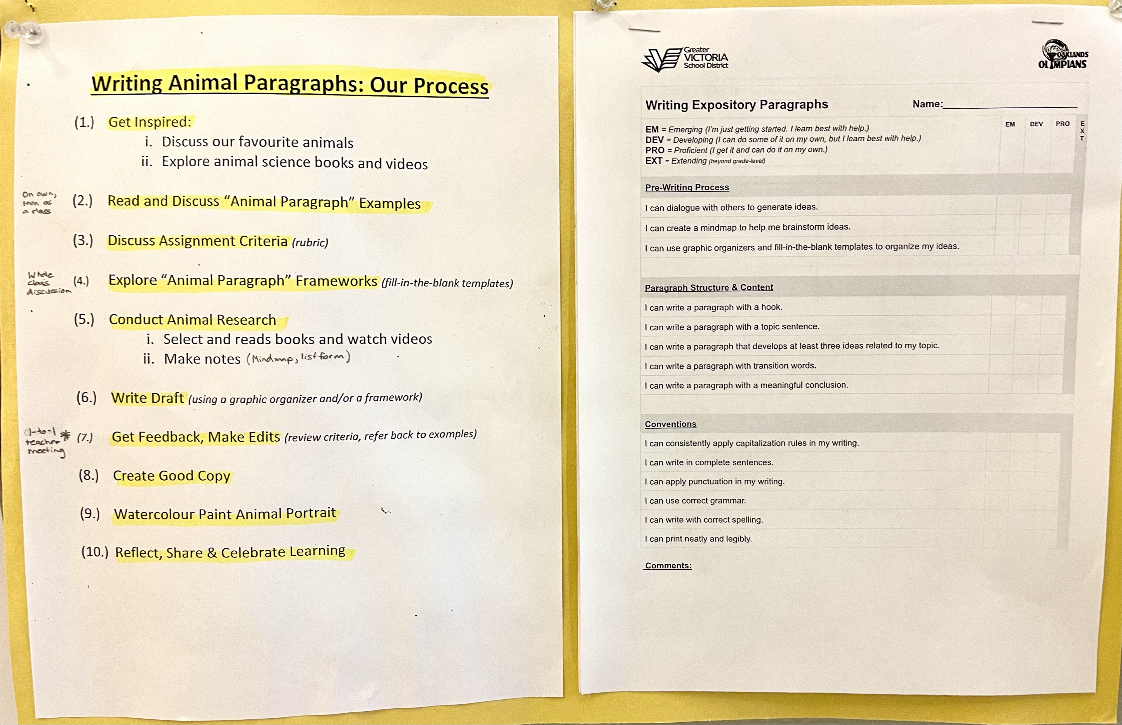 Animal Paragraphs – Tiffany Poirier