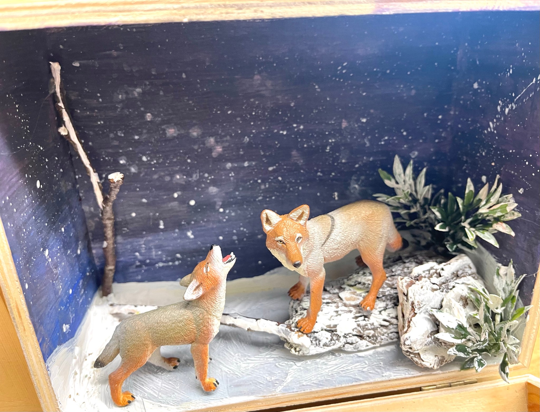 Project: Biome Dioramas & Presentations – TiffanyPoirier.com