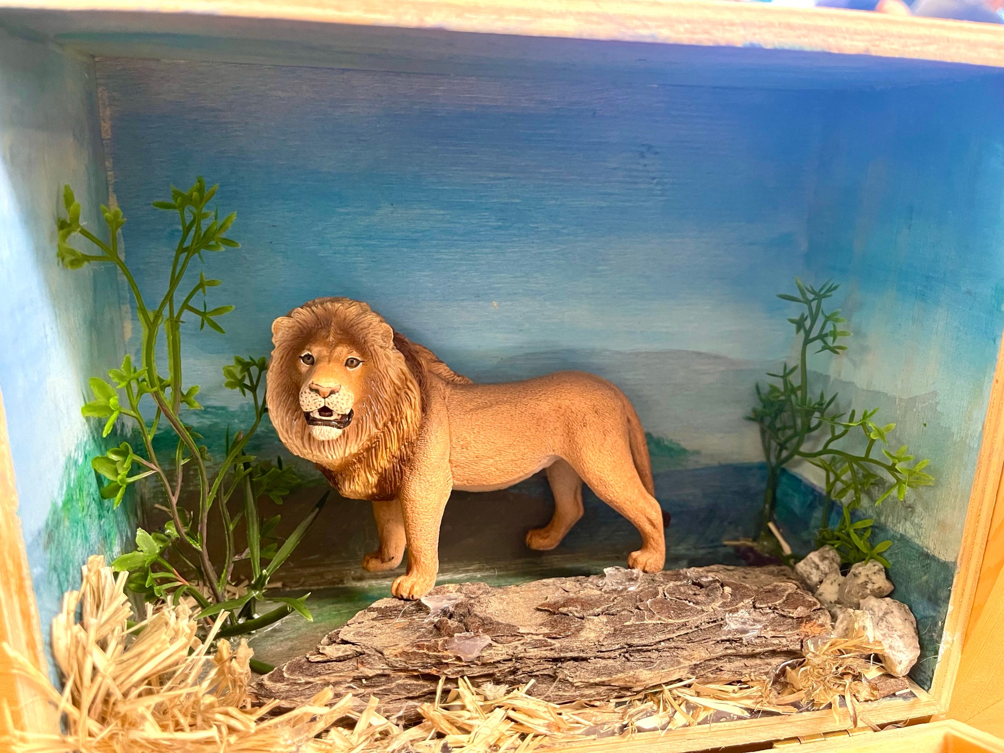 Project: Biome Dioramas & Presentations – TiffanyPoirier.com