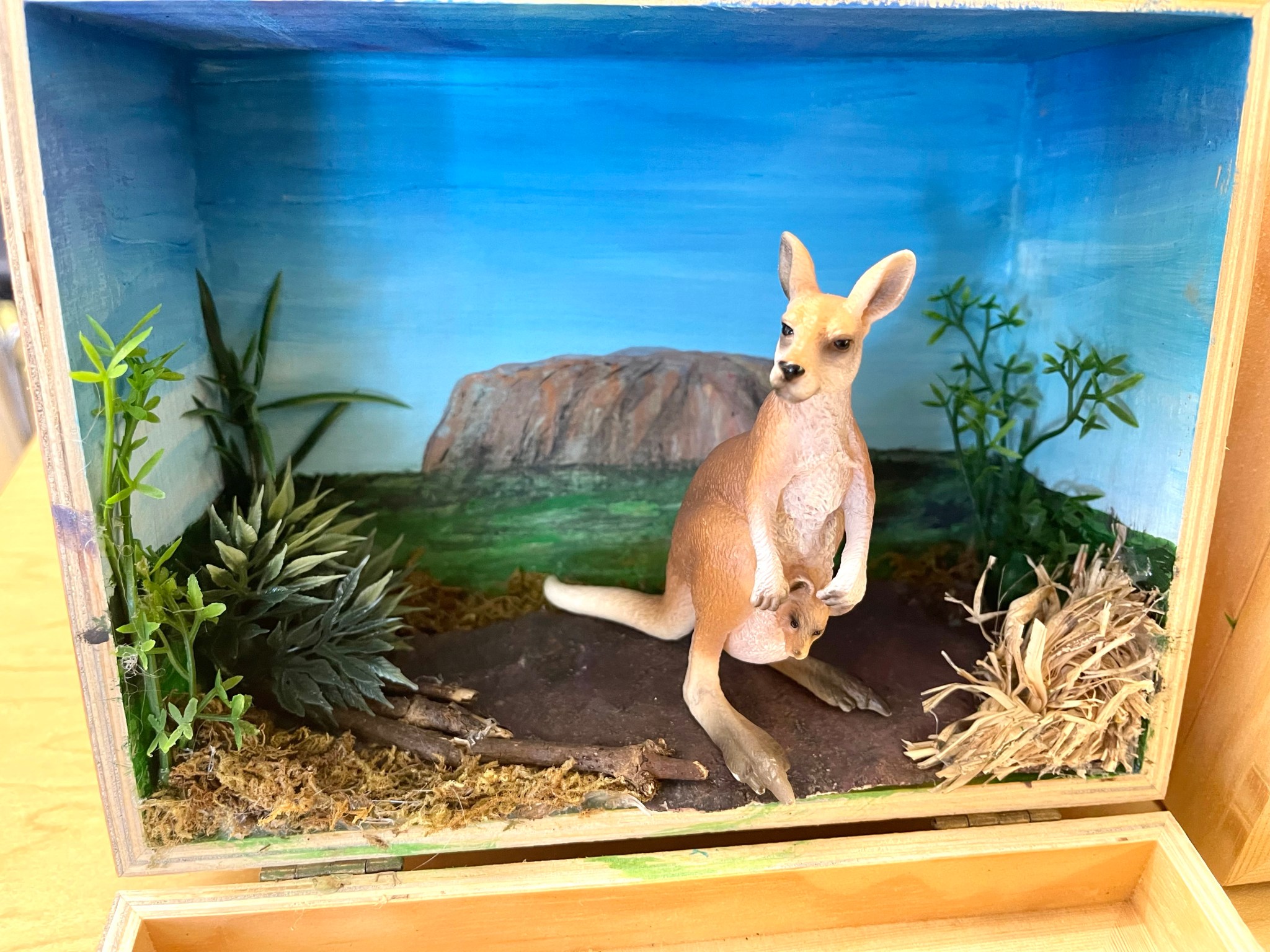 Project: Biome Dioramas & Presentations – TiffanyPoirier.com