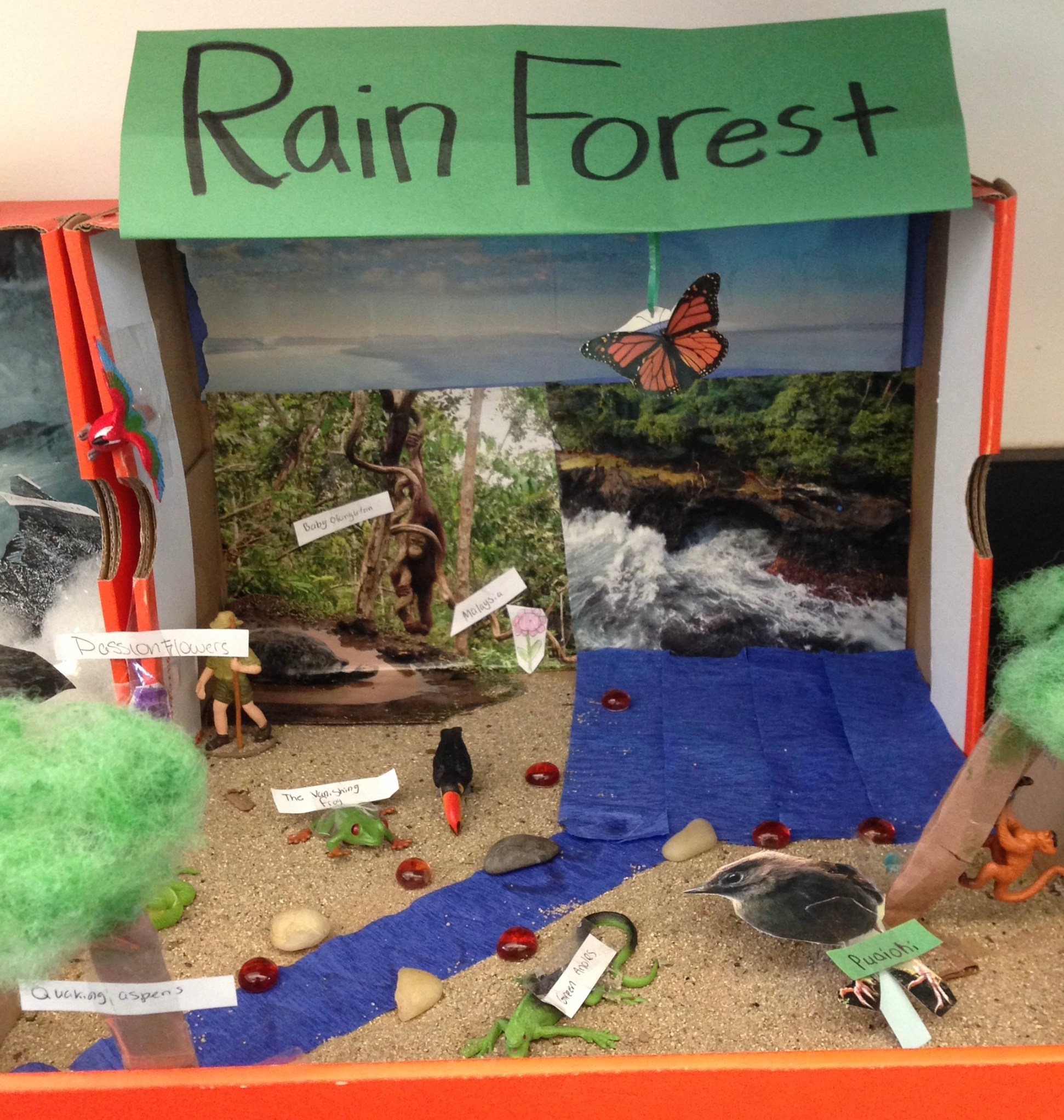 Project: Biome Dioramas & Presentations – TiffanyPoirier.com