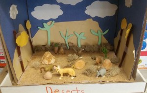 Project: Biome Dioramas & Presentations – TiffanyPoirier.com