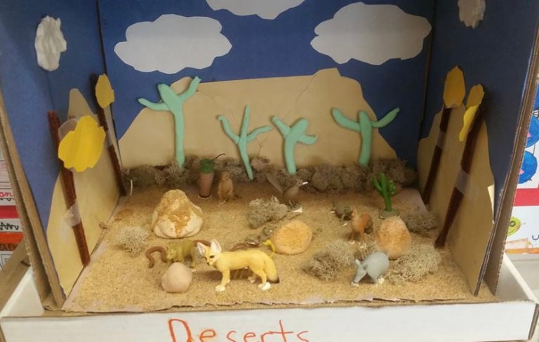 Project: Biome Dioramas & Presentations – TiffanyPoirier.com