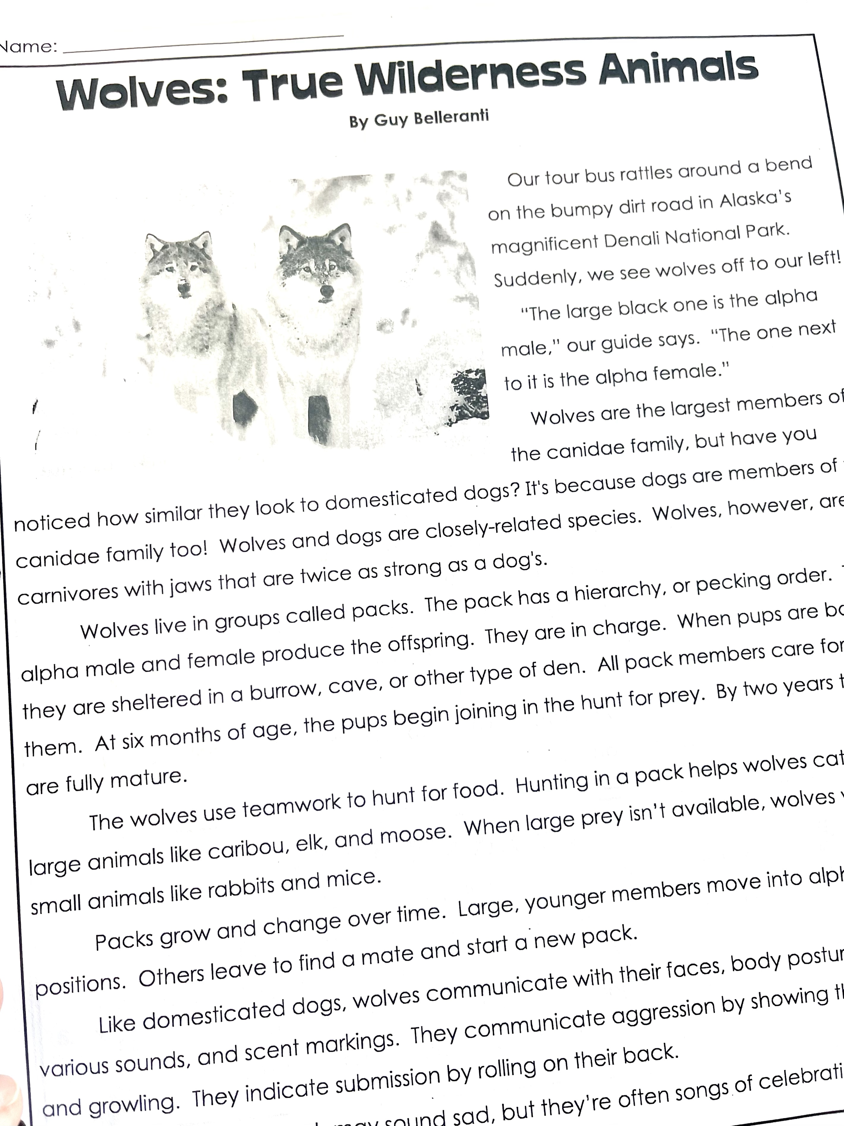 Reading Strategies, Wolves & Healthy Living – Tiffany Poirier