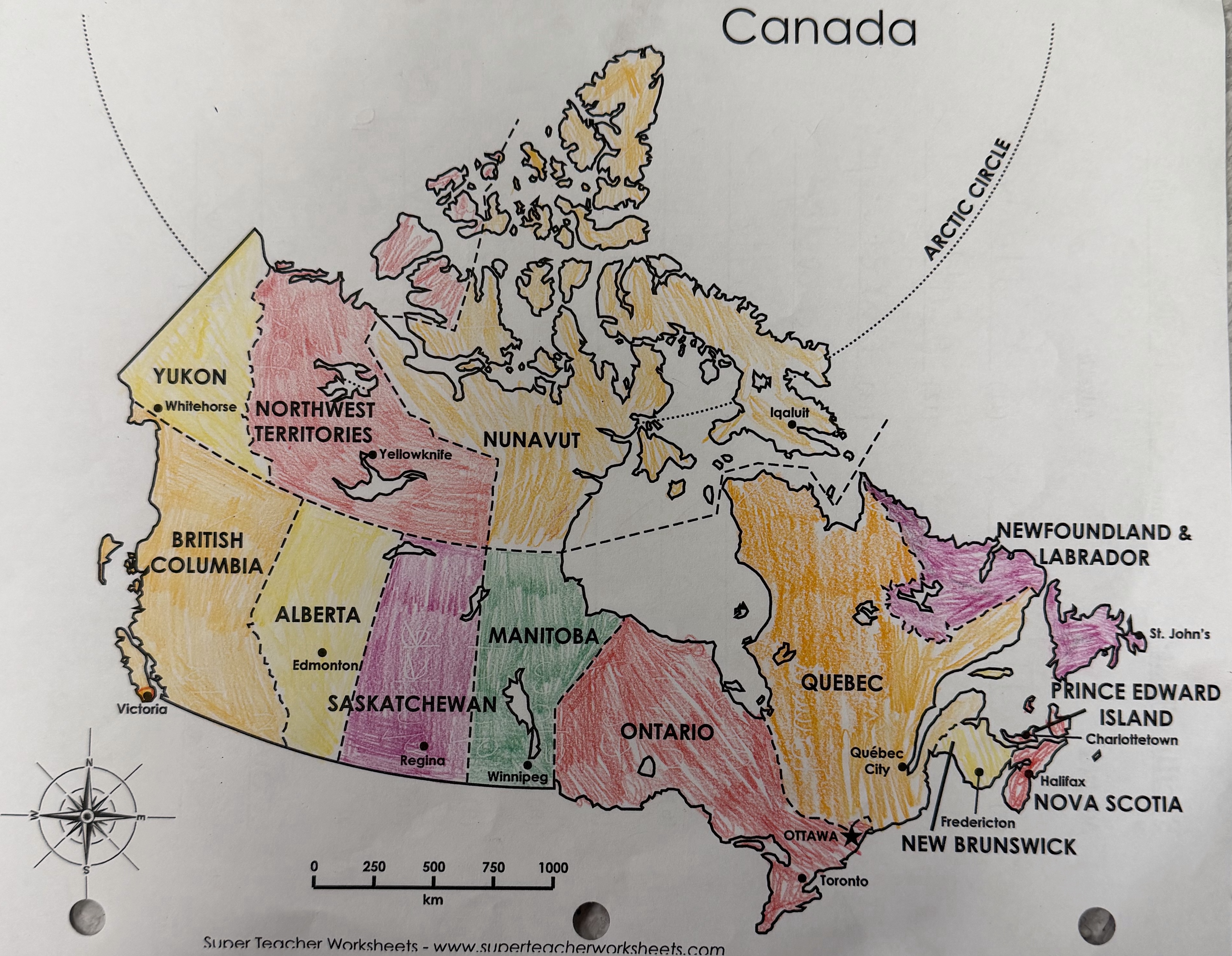Swan Sculptures, Biomes, the Map of Canada, Partial Quotients Division ...